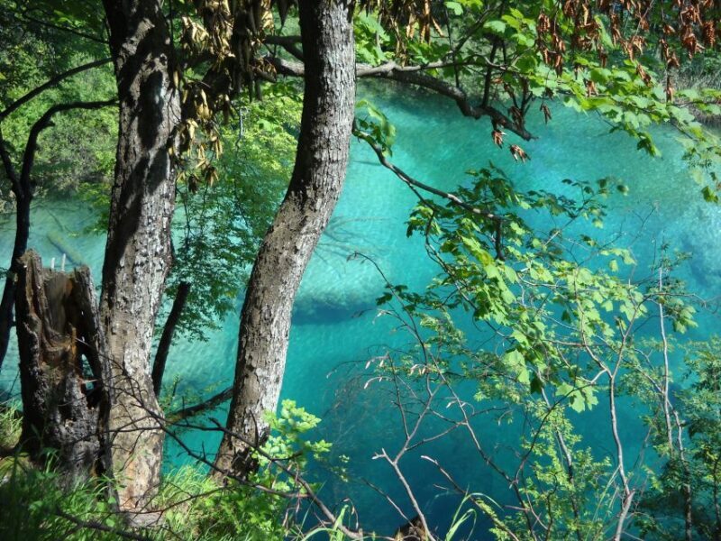 From Split: Plitvice Lakes Full-Day Trip - Authentic Experiences from Travelers