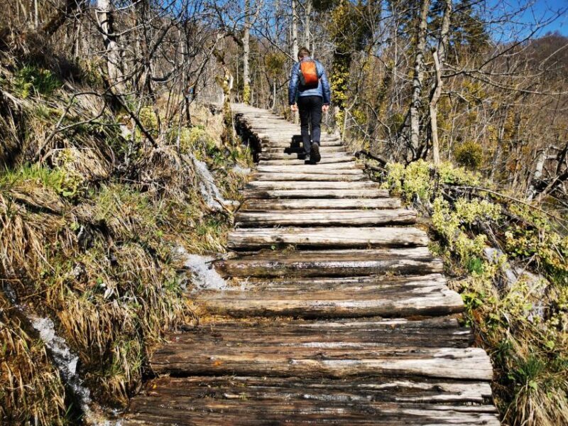 From Split: Plitvice Lakes Full-Day Trip - Final Thoughts