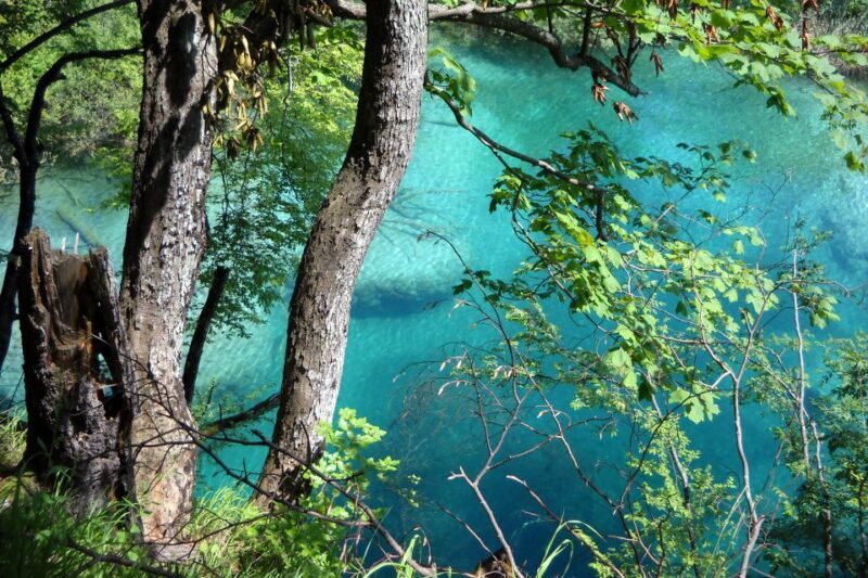 From Split: Plitvice Lakes Fully-Guided Day Tour - The Experience Guides and Review Highlights