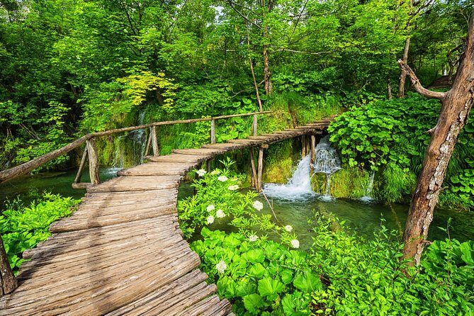 From Split to Zagreb: Plitvice Lakes Private Guided Tour - The Sum Up