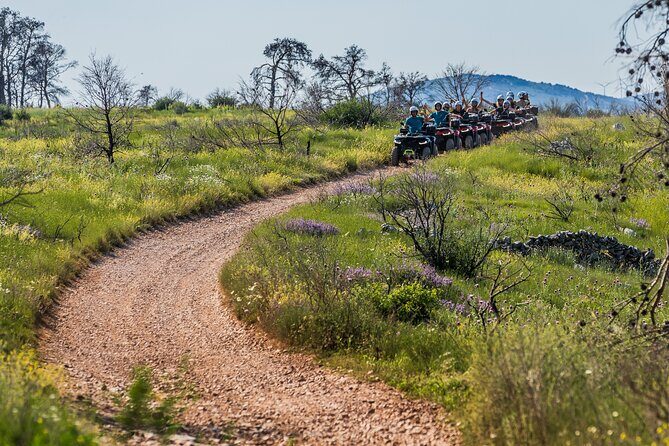 From Split & Trogir: ATV Quad Tour on Island iovo - The Sum Up: Who Will Love This Tour?