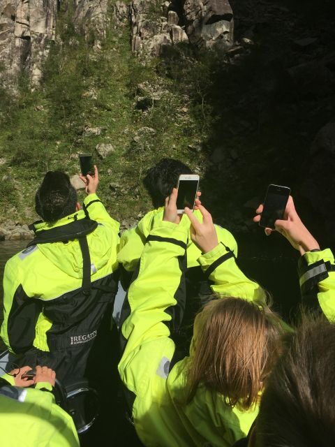 From Stavanger: RIB Tour to Lysefjord - Wildlife and Waterfall Experiences