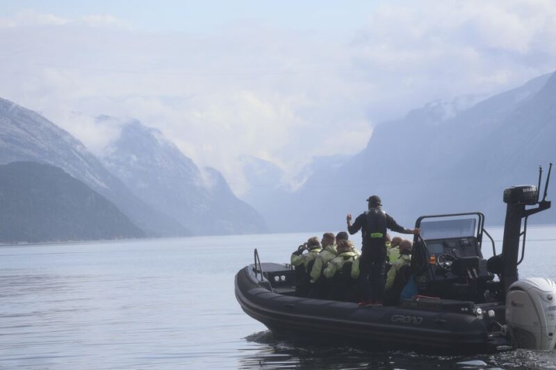 From Stavanger: RIB Tour to Lysefjord - Accessibility and Suitability