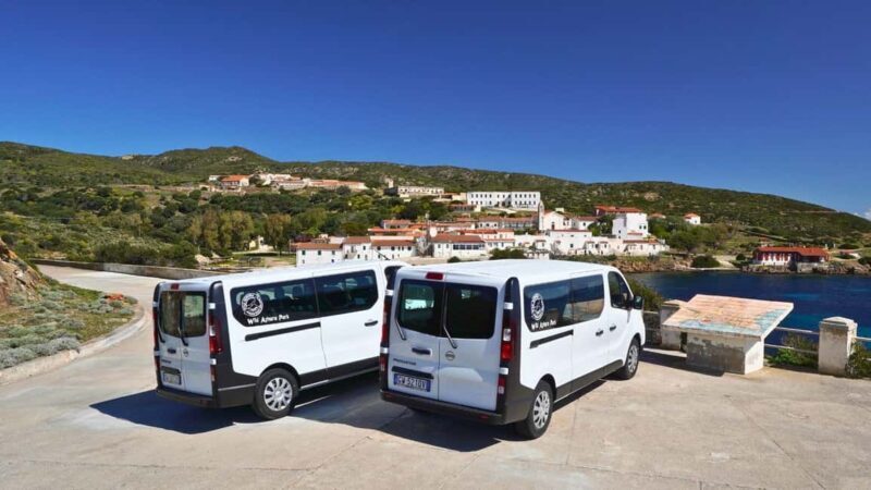 From Stintino: Asinara minivan tour - Discovering the Wonders of Asinara: An In-Depth Look at the Tour