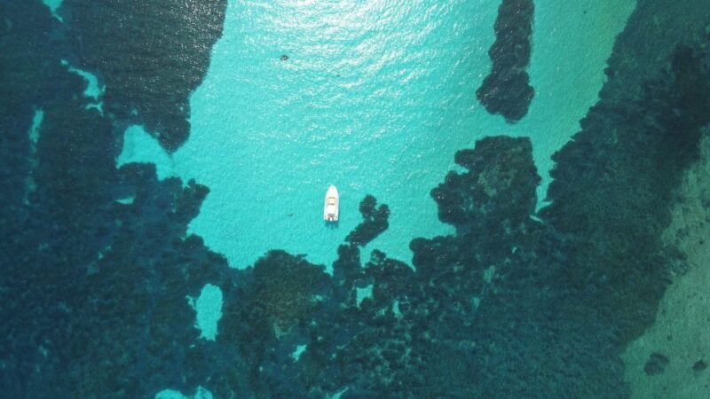 From Stintino: Half-day dinghy tour in Asinara Gulf - Why This Tour Works Well