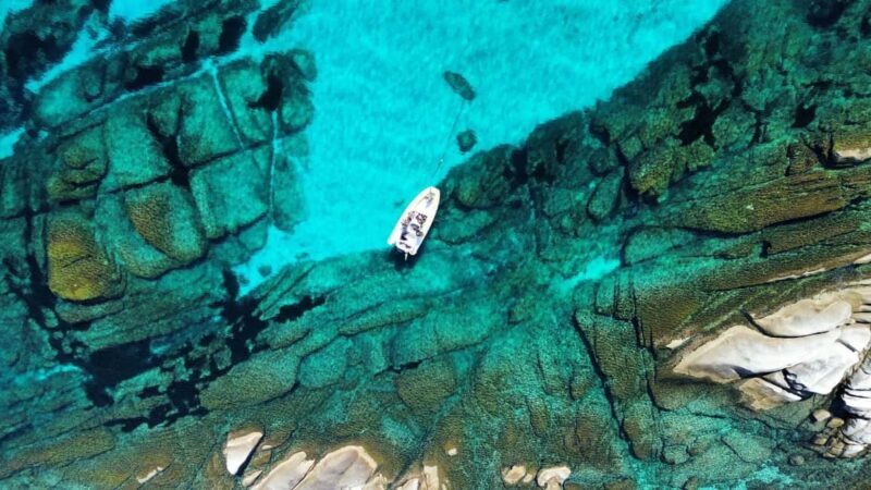 From Stintino: half-day tour by dinghy to Asinara with aperitif - An In-Depth Look at the Tour Itinerary and Highlights