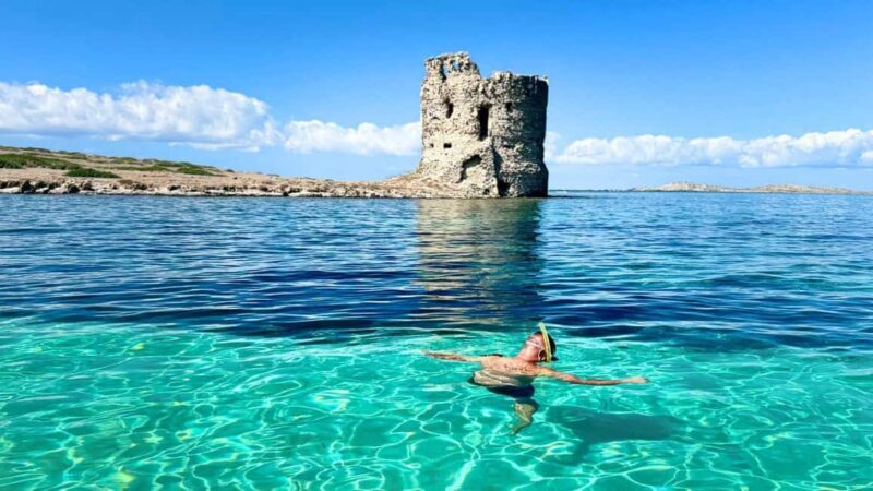 From Stintino: half-day tour by dinghy to Asinara with aperitif - Authentic Experiences Reported by Travelers