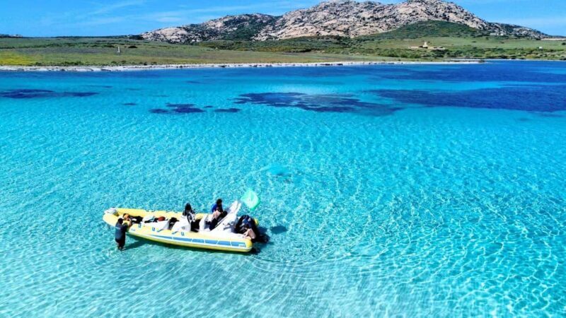 From Stintino: half-day tour by dinghy to Asinara with aperitif - The Sum Up