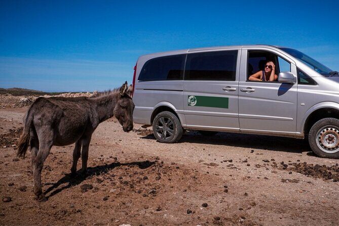 From Stintino: minivan tour of Asinara - Key Points