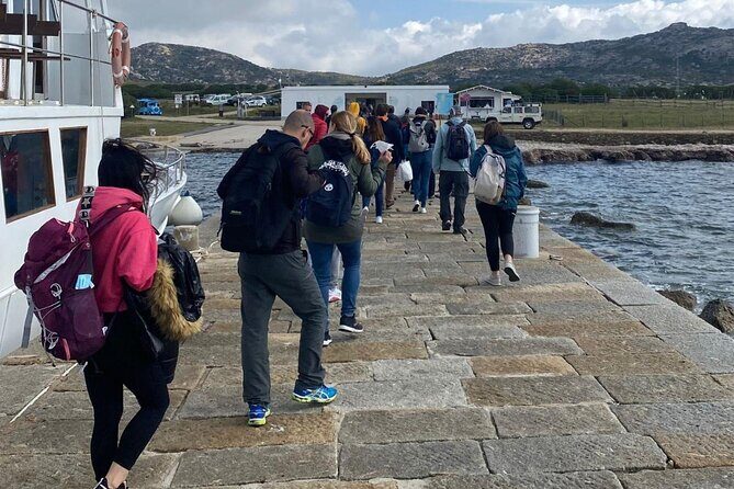 From Stintino: minivan tour of Asinara - The Sum Up