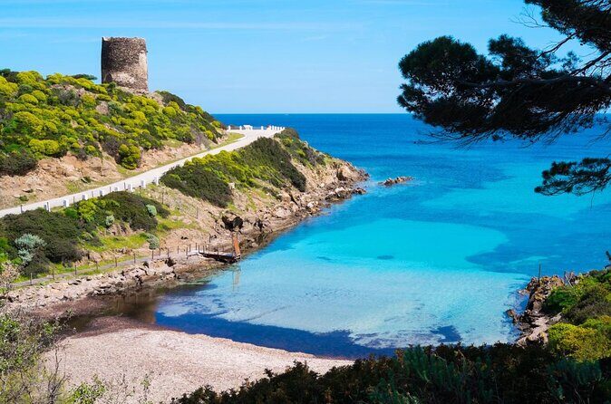 From Stintino: sailboat tour to Asinara with lunch - Key Points