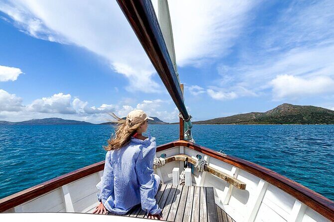 From Stintino: sailing trip to Asinara - The Experience: Authentic, Personal, and Fun