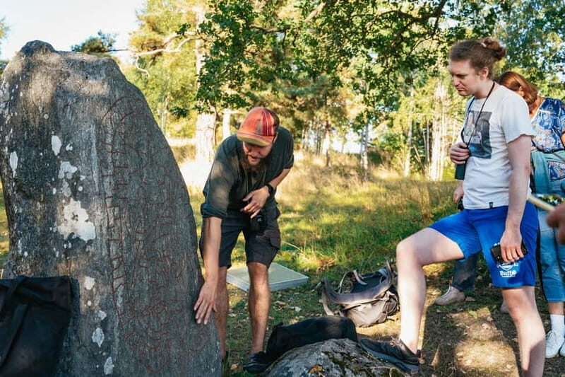 From Stockholm: Moose & Wildlife Safari with Campfire Dinner - Key Points