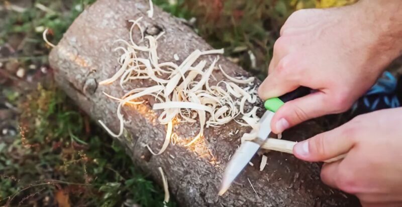 From Stockholm: Moose & Wildlife Safari with Campfire Dinner - Practical Details