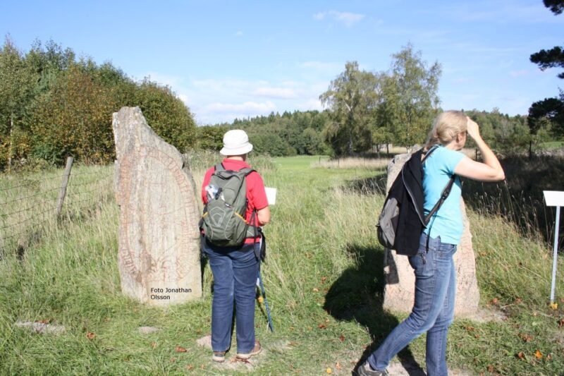 From Stockholm: Viking Culture and Heritage Small Group Tour - The Value of the Tour