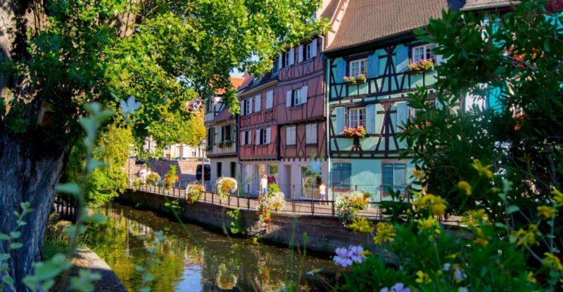From Strasbourg: Best Of Alsace Historical Day Trip - Authentic Experiences and Honest Observations  