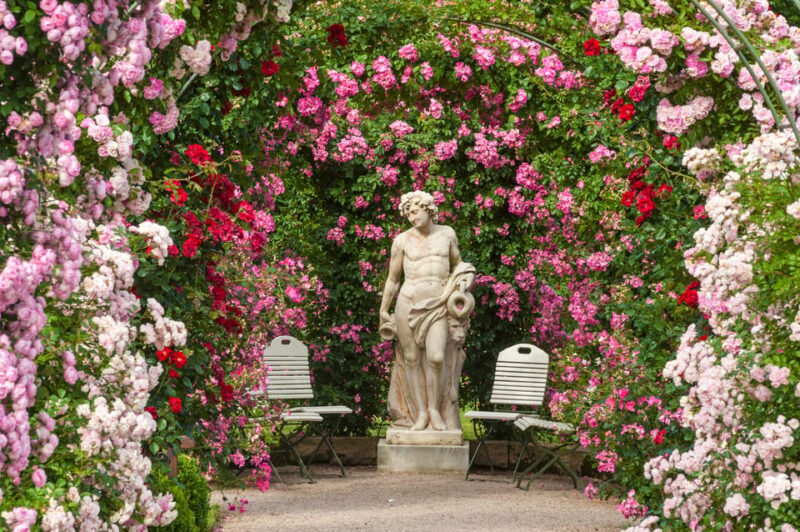 From Strasbourg: Black Forest and Baden Baden Day Trip - The Return Journey: Exploring the German Wine Route