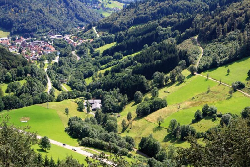 From Strasbourg: Black Forest and Baden Baden Day Trip - Final Thoughts: Who Will Love This Tour?