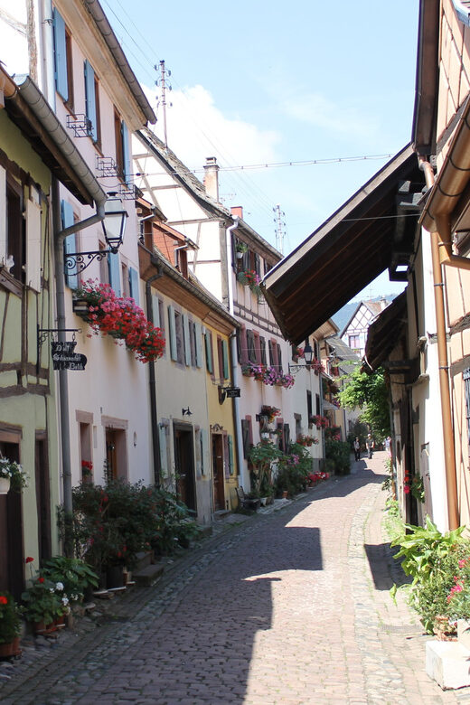 From Strasbourg: Half-Day Tour of Alsace Villages - Who Would Enjoy This Tour?