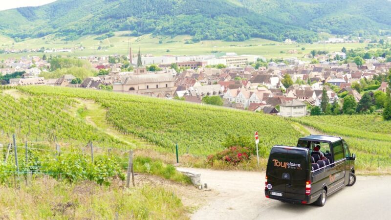 From Strasbourg: Medieval Villages & Wine Tasting Day Trip - Who This Tour Is Best For