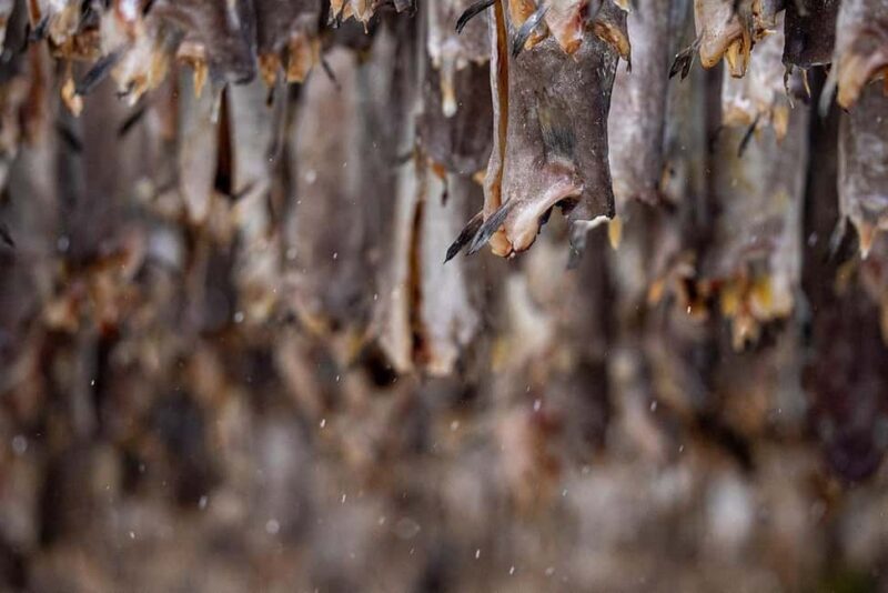 From Svolvær: Half Day Lofoten History and Photo Tour - FAQ