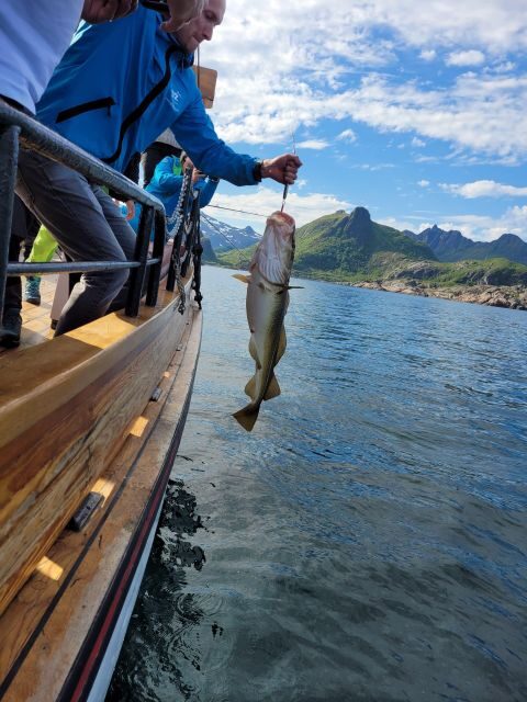 From Svolvaer: Lofoten Fishing Boat Cruise - Detailed Review of the Svolvaer Fishing Boat Cruise