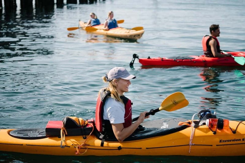 From Svolvær: Lofoten Guided Kayak Experience - Why Choose the Svolvær Guided Kayak Experience?  