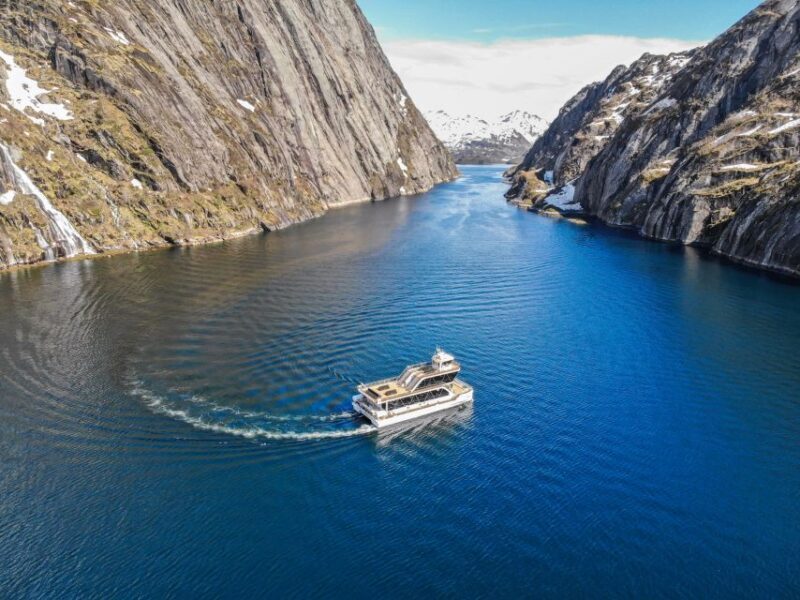 From Svolvær: Lofoten Islands Silent Trollfjord Cruise - Who Should Consider This Tour?
