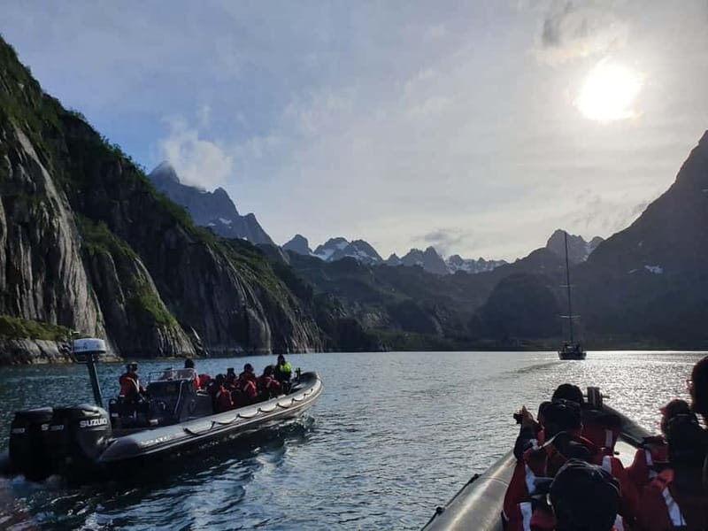From Svolvær: RIB Boat Lofoten Trollfjord Sea Eagle Safari - The Experience: What to Expect from the Tour