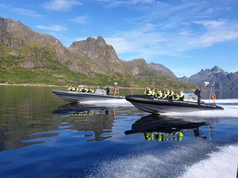 From Svolvaer: Trollfjorden Wildlife RIB Cruise - Key Points