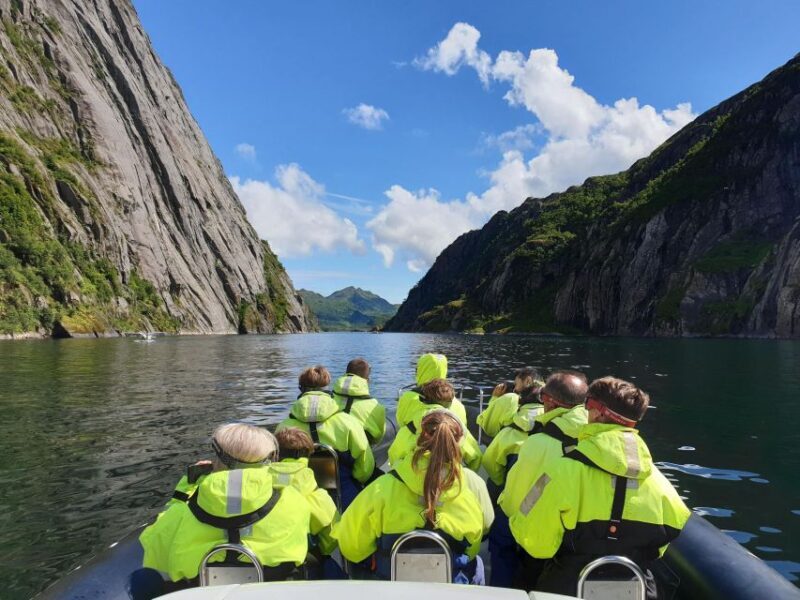 From Svolvaer: Trollfjorden Wildlife RIB Cruise - An Authentic Norwegian Adventure on the Water
