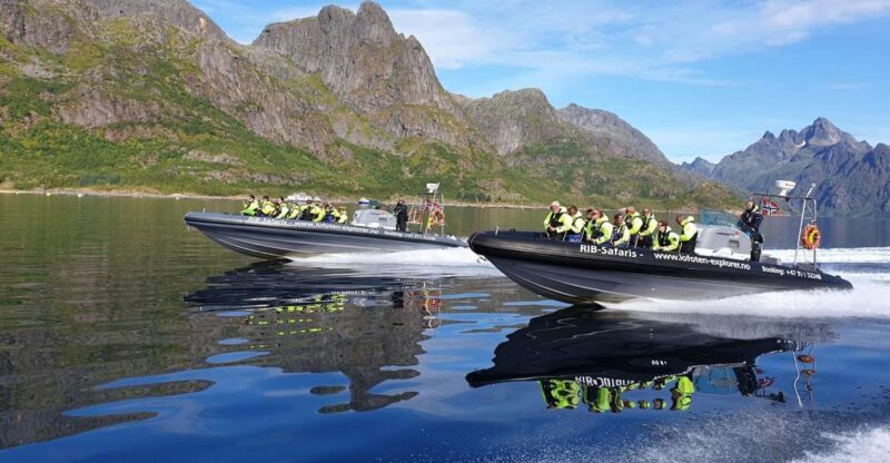 From Svolvaer: Trollfjorden Wildlife RIB Cruise - Practical Details That Matter