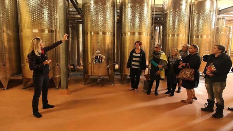 From Sydney: Award-Winning Hunter Valley Wine & Cheese Tour - An Overview of the Hunter Valley Wine & Cheese Tour