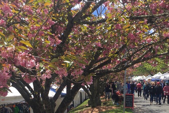 From Sydney Blue Mountains Day Tour and Hop-on, Hop-off Bus Tour - Transportation, Timing, and Group Size