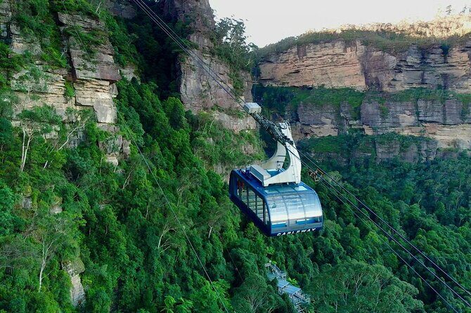 From Sydney Blue Mountains Day Tour and Hop-on, Hop-off Bus Tour - Final Thoughts