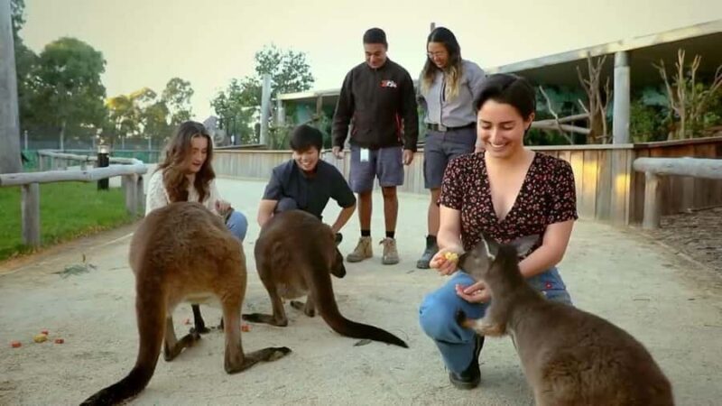 From Sydney: Blue Mountains Day Tour & Hop-on, Hop-off Tour - Authentic Experiences Based on Reviews