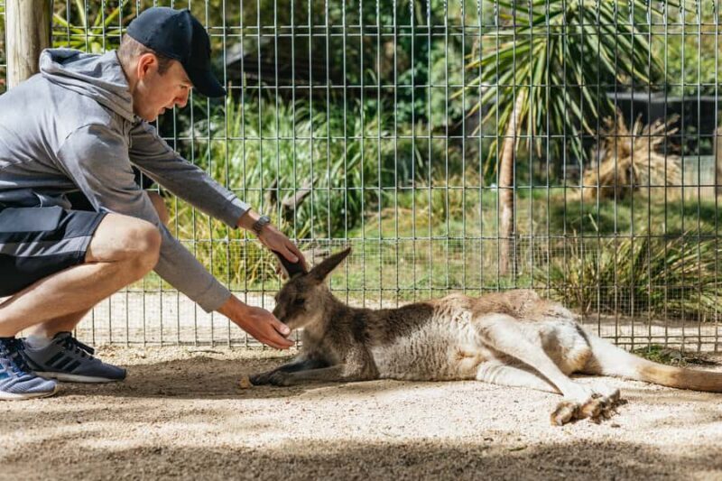 From Sydney: Blue Mountains Full-Day Trip - Final Thoughts: Is This Tour Right for You?