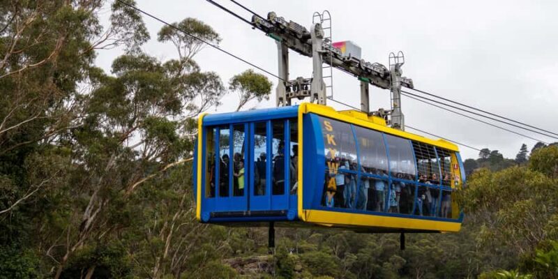 From Sydney: Blue Mountains, Scenic Railway, & Sydney Zoo - A Deep Dive into the Experience