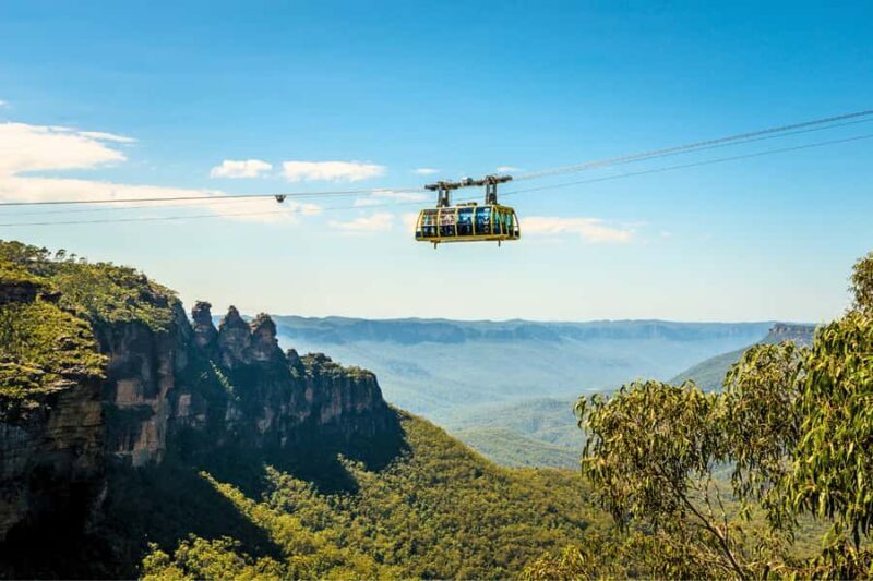 From Sydney: Blue Mountains, Scenic Railway, & Sydney Zoo - Final Thoughts