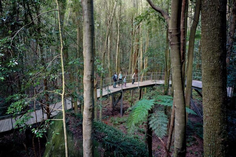 From Sydney: Blue Mountains, Scenic World, Zoo, & Ferry Ride - An Overview of the Tour Experience