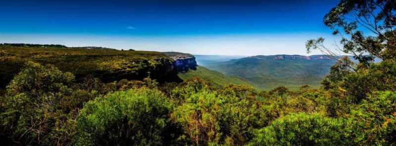 From Sydney: Blue Mountains Small-Group Tour Picnic & Hike - Introduction