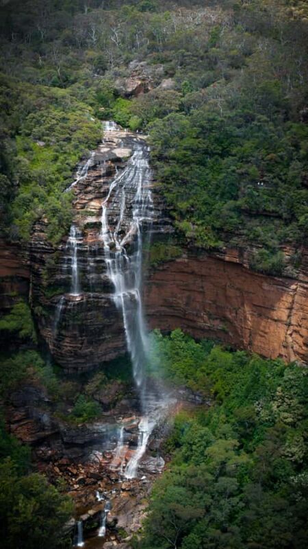From Sydney: Blue Mountains, Sydney Zoo & Walking Tour - Authentic Insights from Travelers