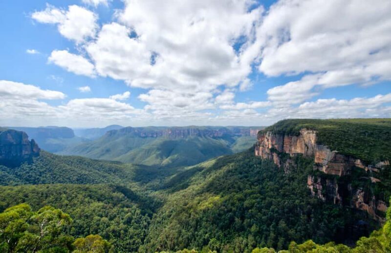 From Sydney: Blue Mountains, Sydney Zoo & Walking Tour - Who Should Book This Tour?