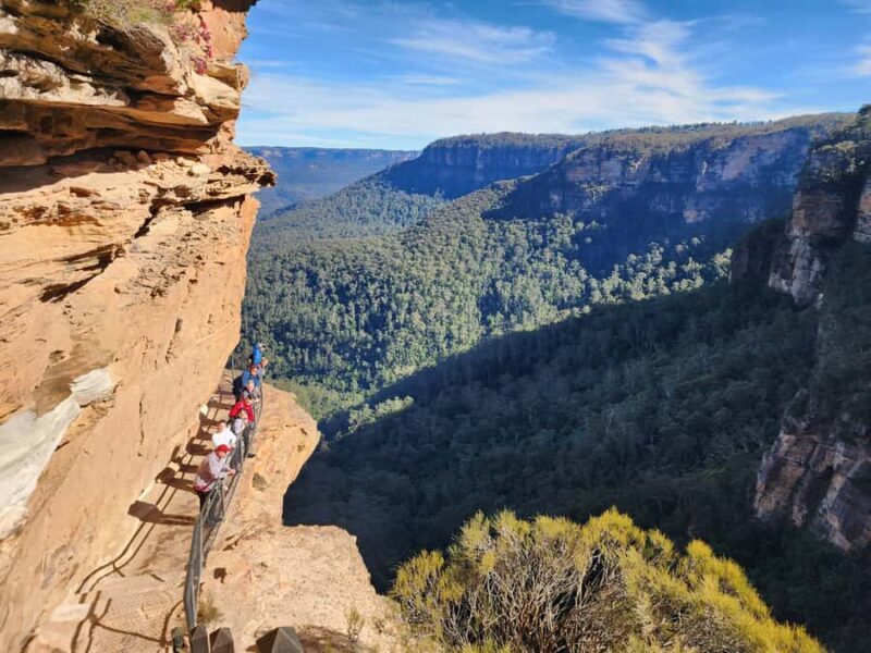 From Sydney: Blue Mountains Tour with Waterfall Walk & Lunch - A Deep Dive into the Blue Mountains Tour Experience  