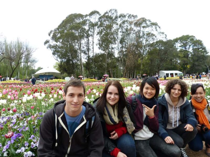 From Sydney: Canberra City Highlights and Floriade Day Tour - Who Should Consider This Tour?
