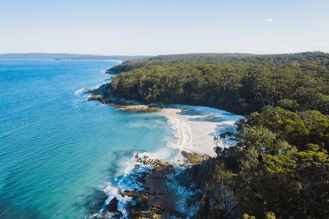 From Sydney: Day Tour to Jervis Bay with Beaches and Koalas - Key Points