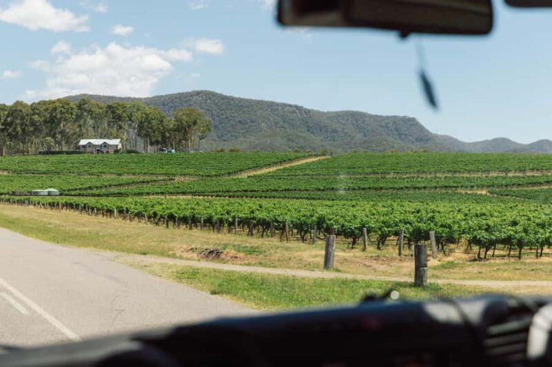From Sydney: Full-Day Hunter Valley Wine Tour & Lunch - Key Points