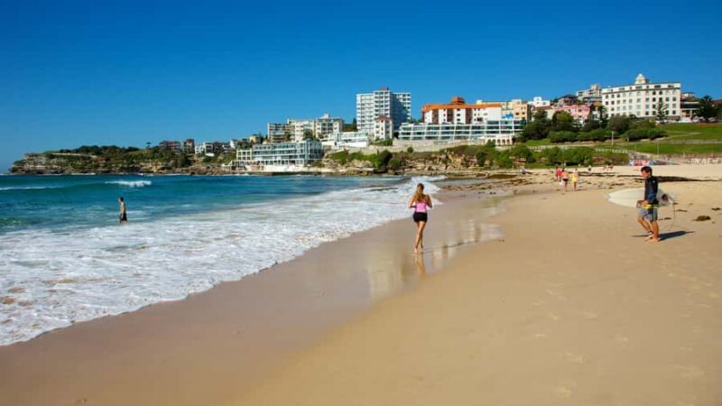 From Sydney: Full Day Tour of Golden Beaches and Ocean Vista - Who Will Love This Tour?