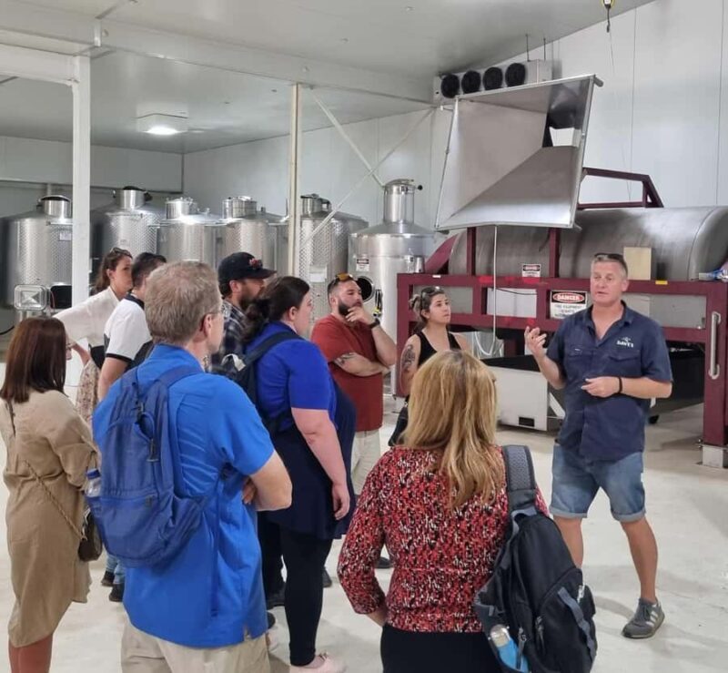 From Sydney: Hunter Valley Beer & Wine Group Tour - Pickup and Journey to Hunter Valley