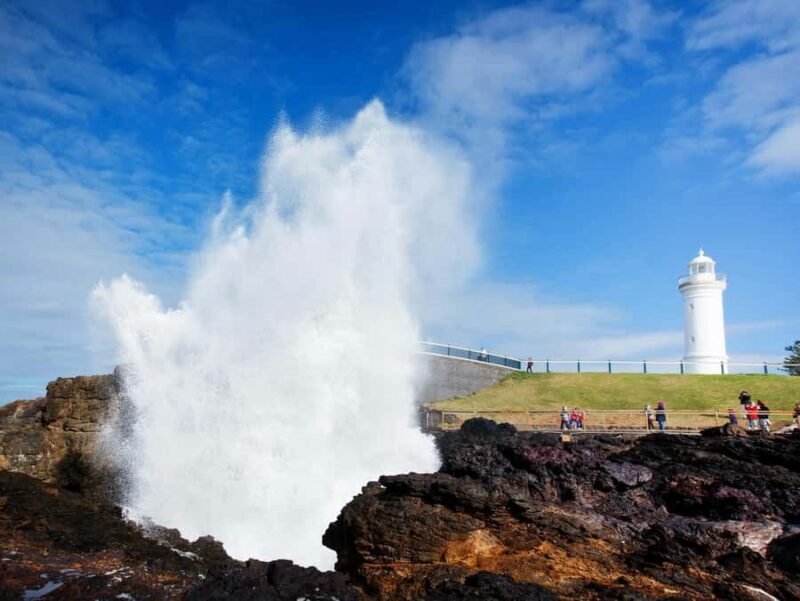 From Sydney: Kiama & South Coast Scenic Private Tour - A Deep Dive into the Experience
